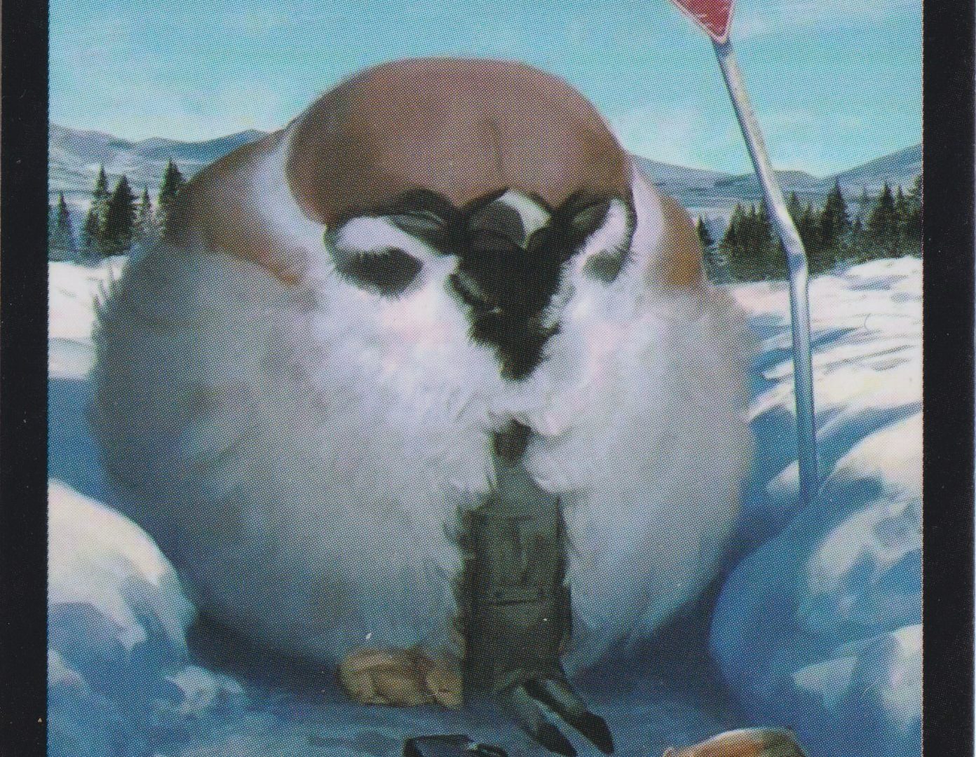 Camon SCP Foundation, SCP-3095: YCSR1-R-064 - Trading Card Archives